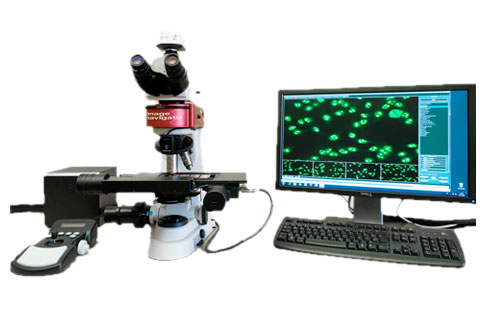 Image Navigator - Medsource Ozone Biomedicals