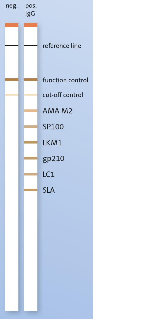 Liver LIA - Medsource Ozone Biomedicals